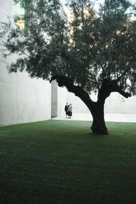 Photography | Fotografía - Daniel Rueda | Online Portfolio