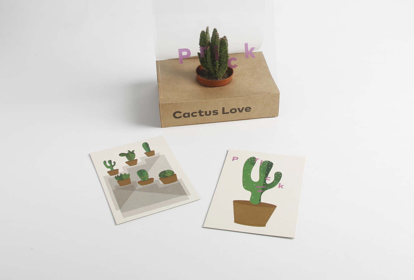 Cactus Love - Elephants, Foxes and Lions