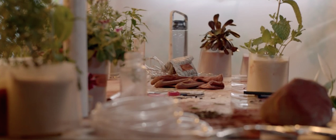 The Pilgrim Report - Angeline Armstrong