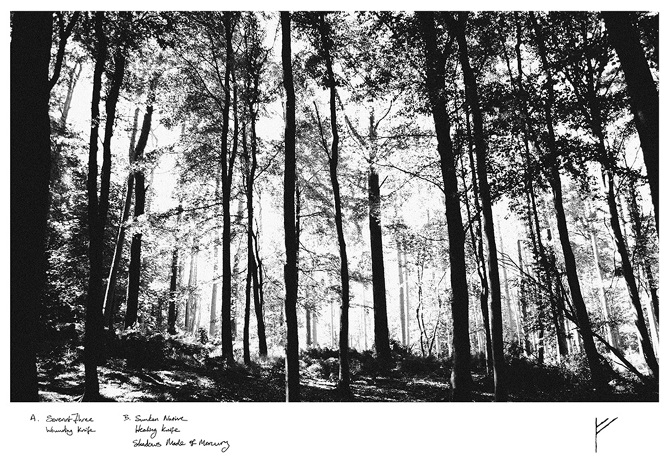 FOLKLORE - Ryan Esson