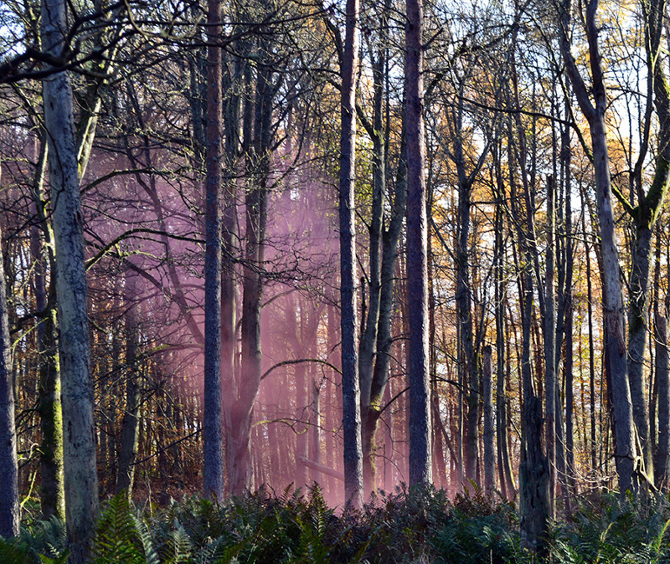 THE VOID - Ryan Esson