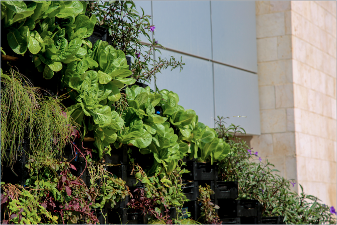 Eco Green Pavilion - Sara Soudani