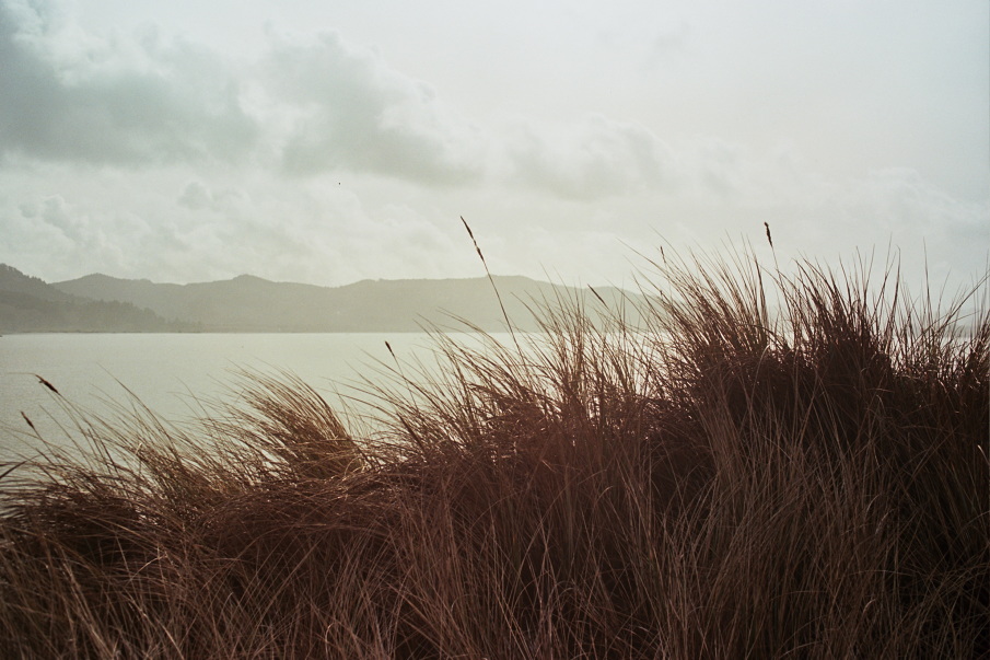 Siletz Bay - Landscape and Memory