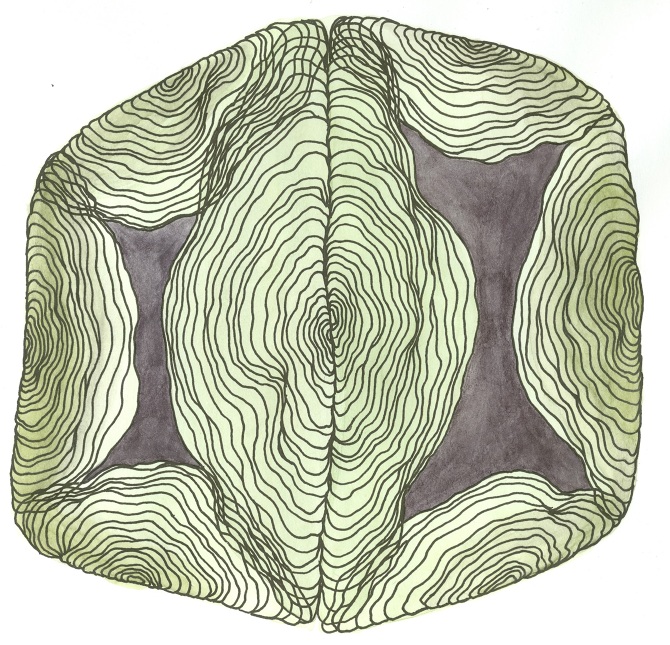 DRAWINGS - RAYMOND CRUM