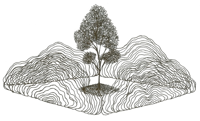 DRAWINGS - RAYMOND CRUM