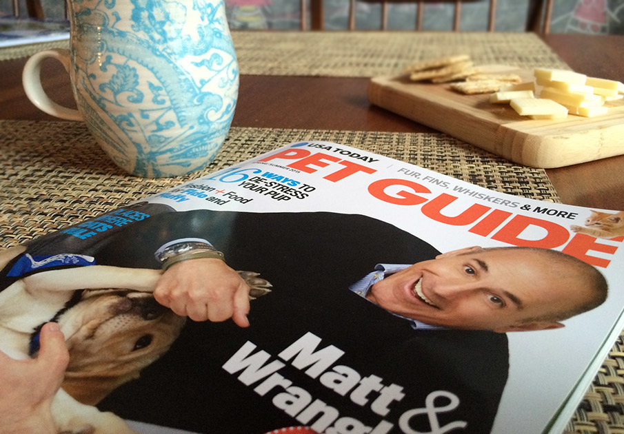 Running with the Big Dogs - Amanda Shifflett - Writer, Editor ...