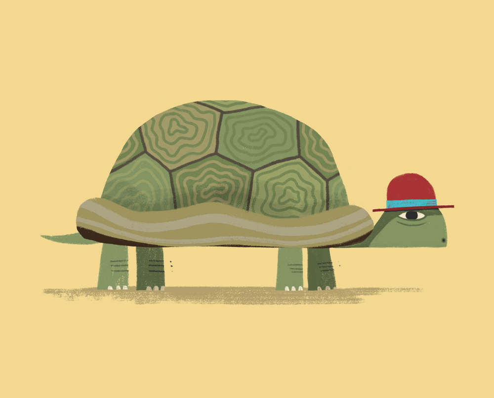 Tortoise with Red Hat - Sam Caldwell