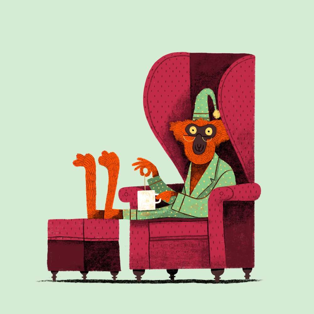 The Bedtime Monkey - Sam Caldwell