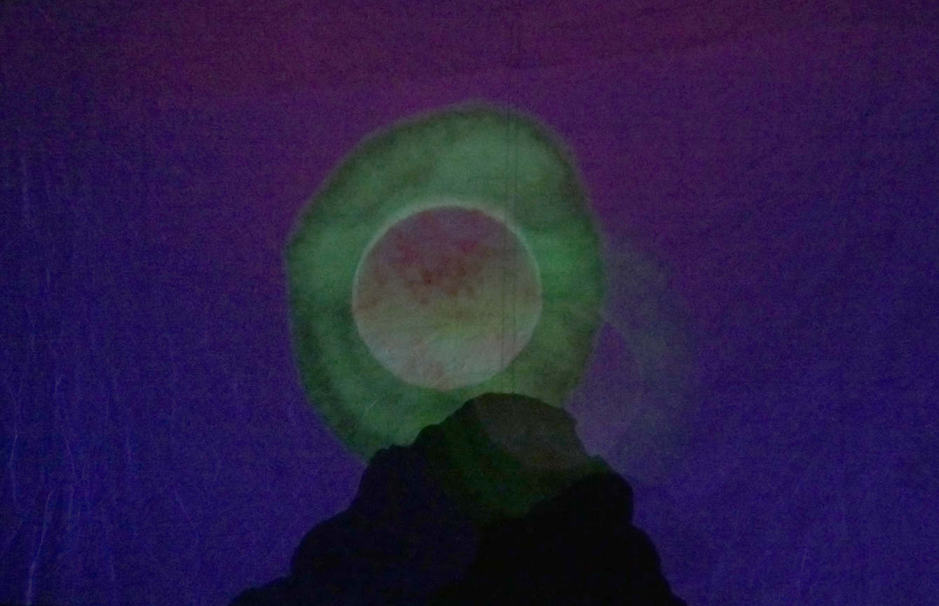 CASSANDRA - Tina Damgaard