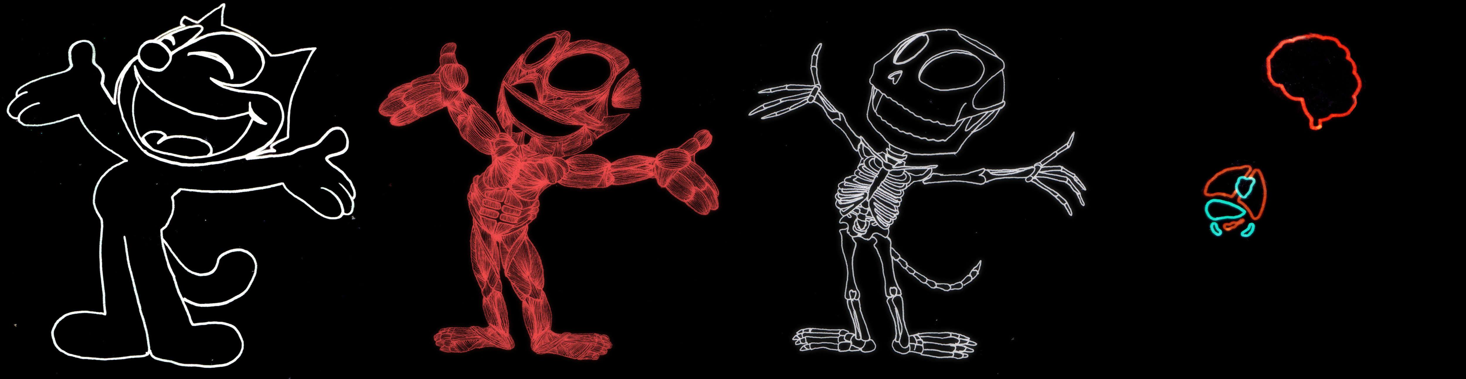 Cartoon anatomy - Daniel Draper