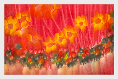 The announcement - Georges Akl