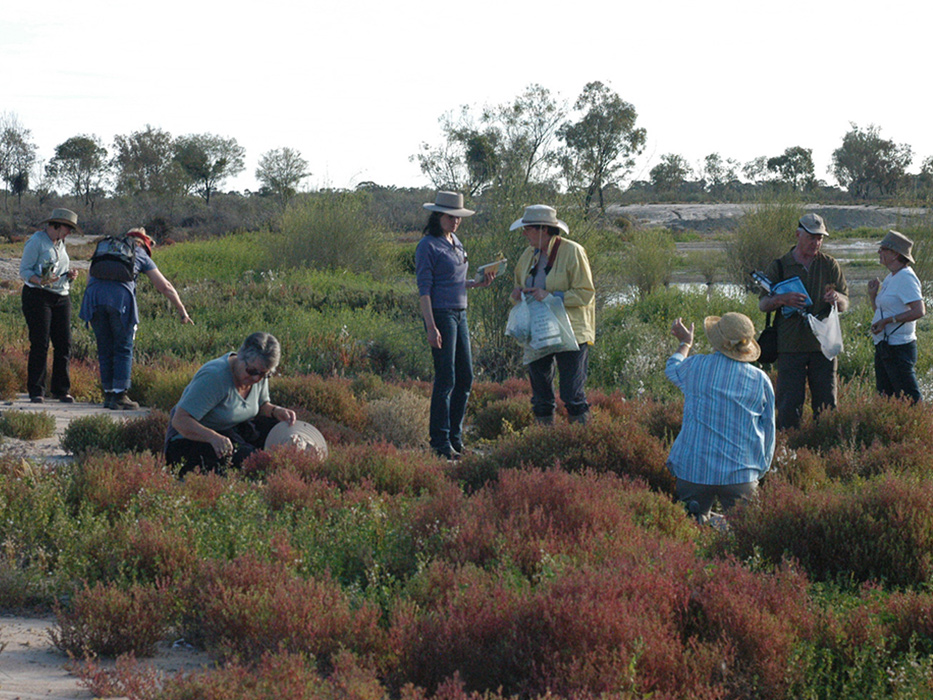 Becklers Botanical Bounty - Mali Moir
