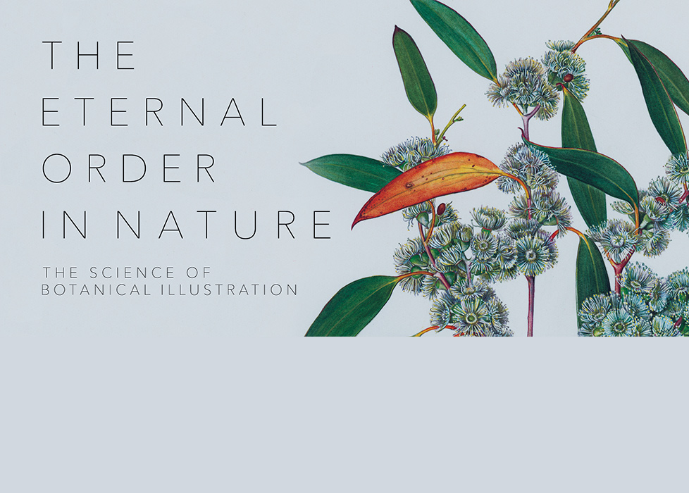 Eternal Order in Nature - Mali Moir