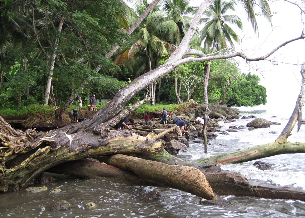 Papua New Guinea - Mali Moir