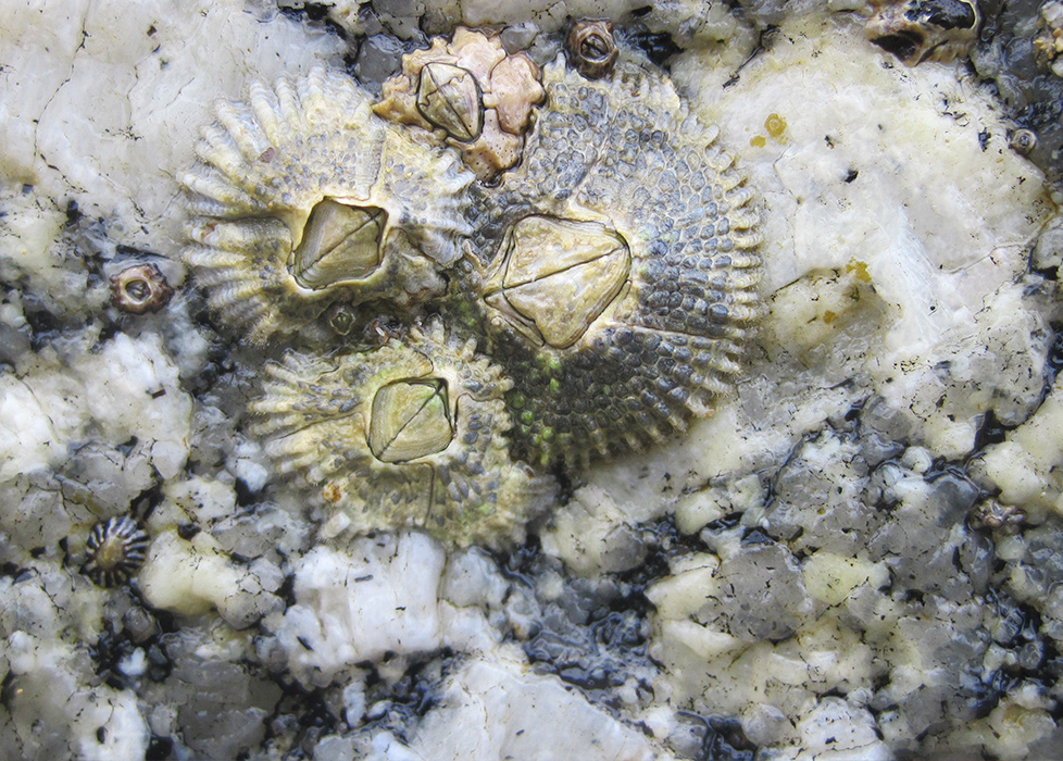 Wilsons Prom - Mali Moir