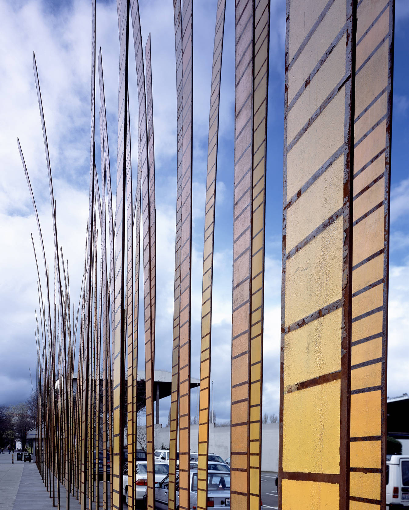 Grass Blades - Susan Zoccola