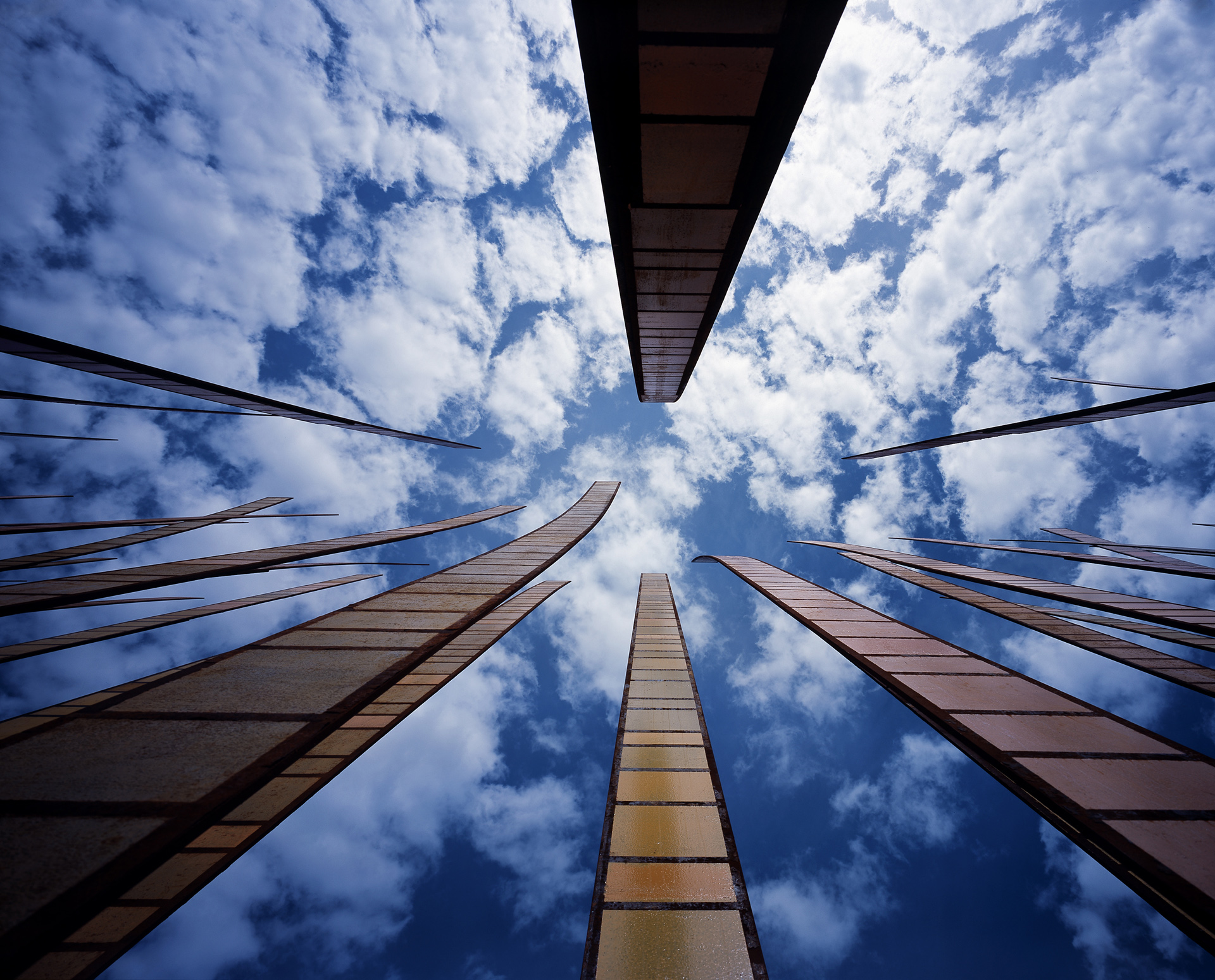 Grass Blades - Susan Zoccola