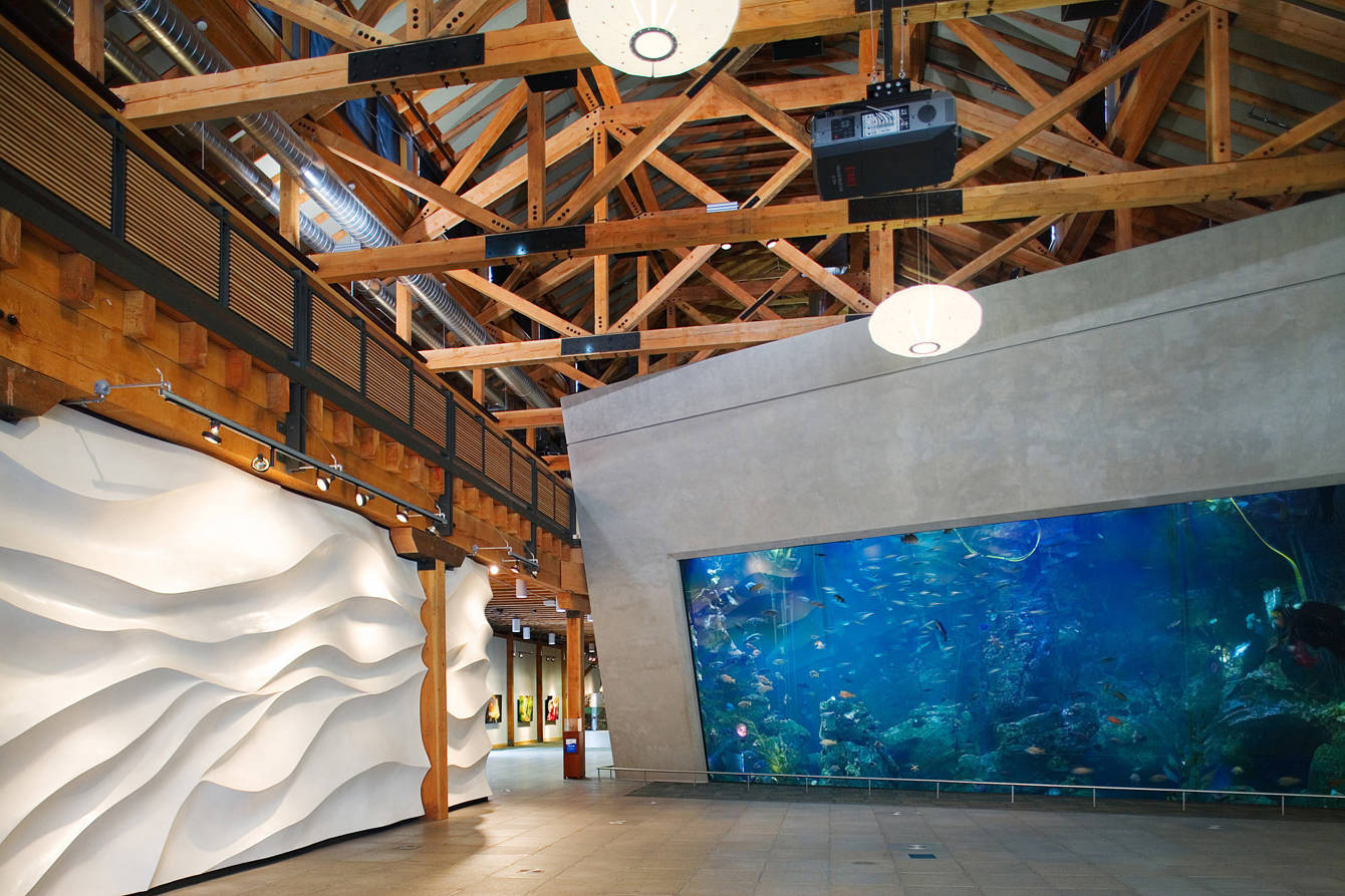 Wave Wall - Susan Zoccola