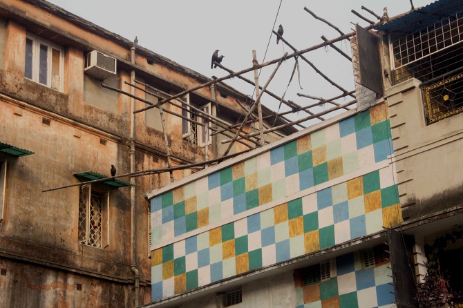 India - Courtney Stephens