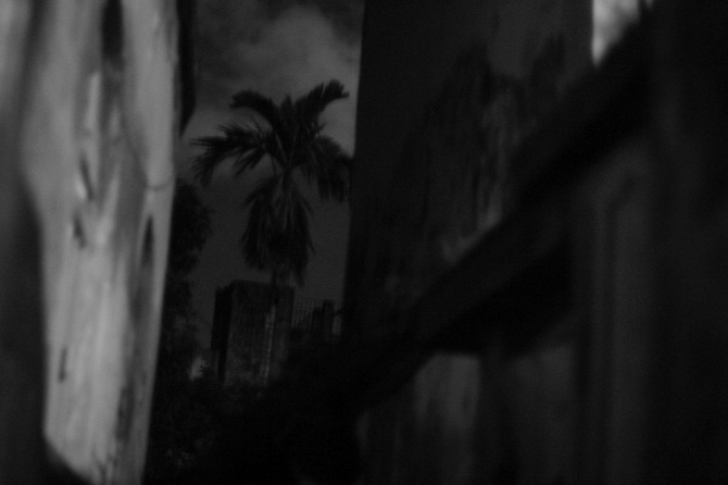 India - Courtney Stephens