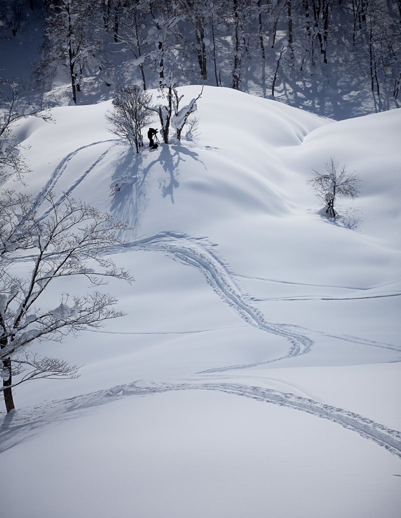 Japan - alexandra erickson
