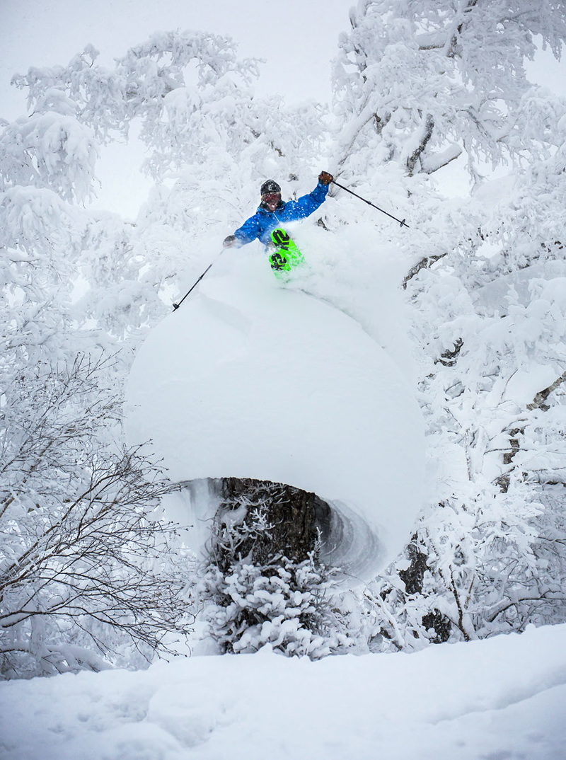 Japan - alexandra erickson