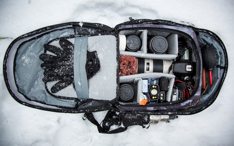 Japan - alexandra erickson