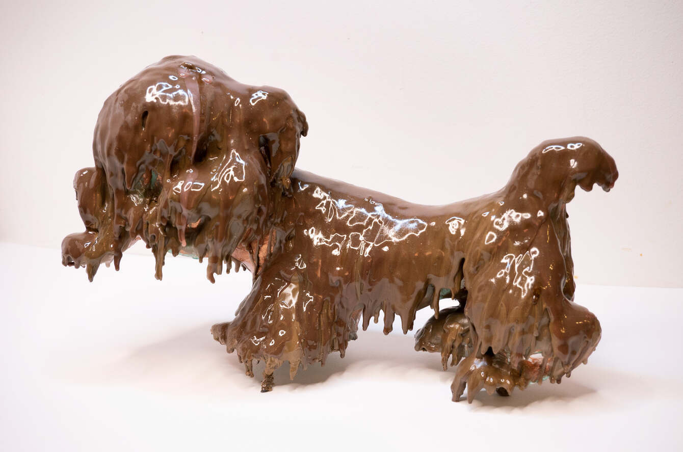 Muddy Puppy - ZACHHILL