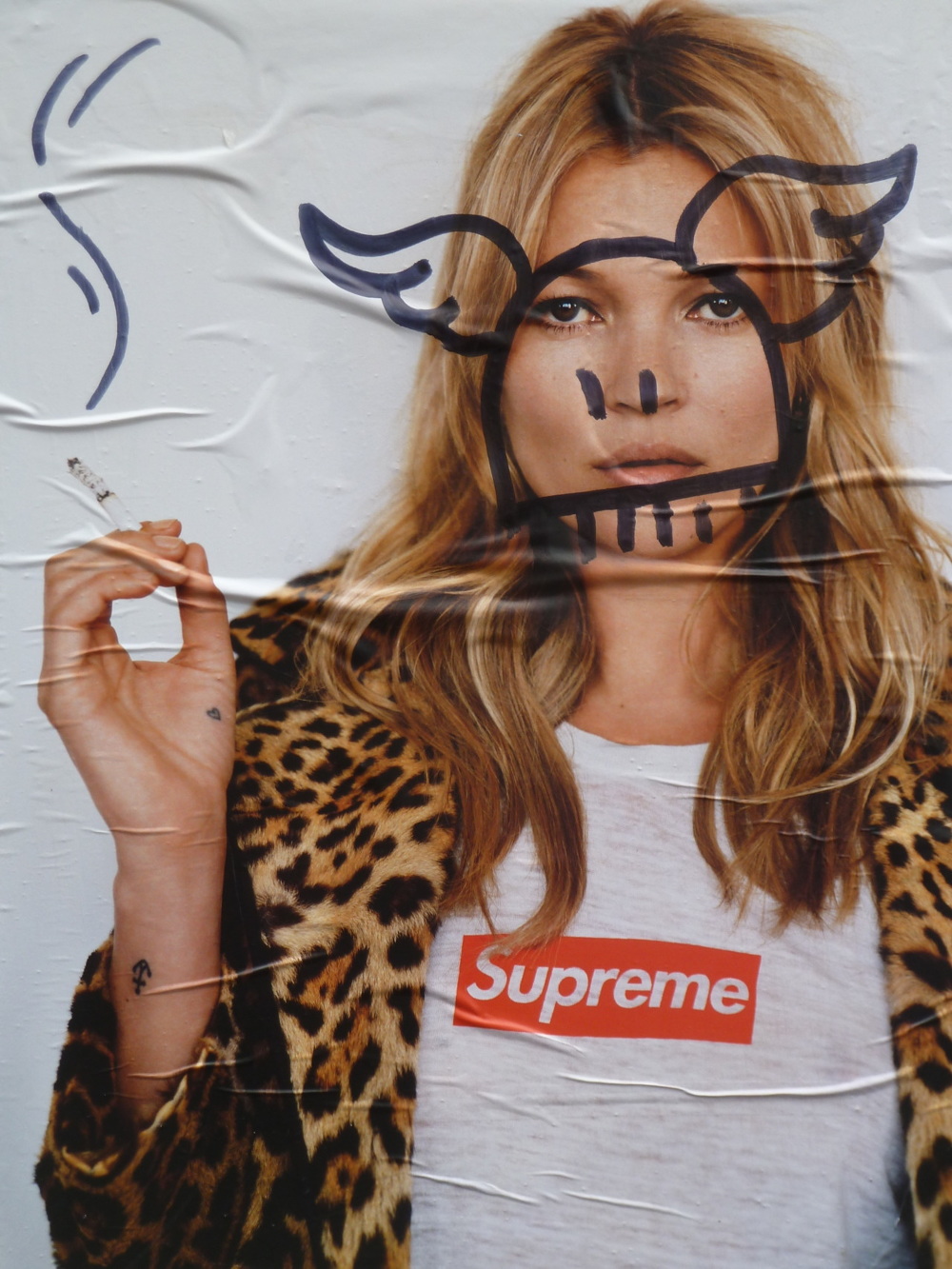 ADBUSTING PHOTOGRAPHS - GEIGER