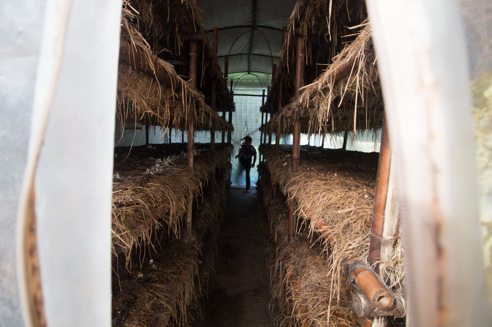 InnerCHANGE Cambodia - Maggie Wong