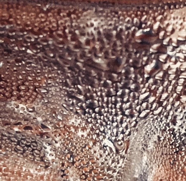 Evidence and Alchemy - Dara Rosenwasser