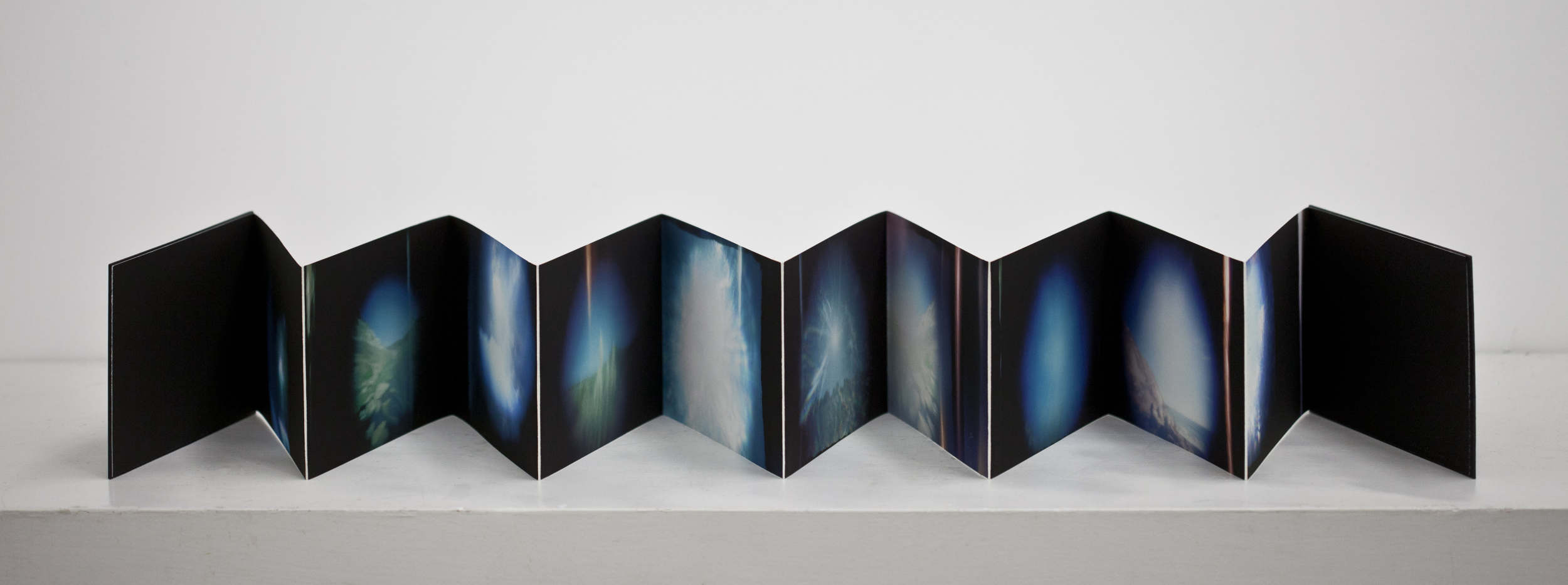 The Blue Book - Dara Rosenwasser