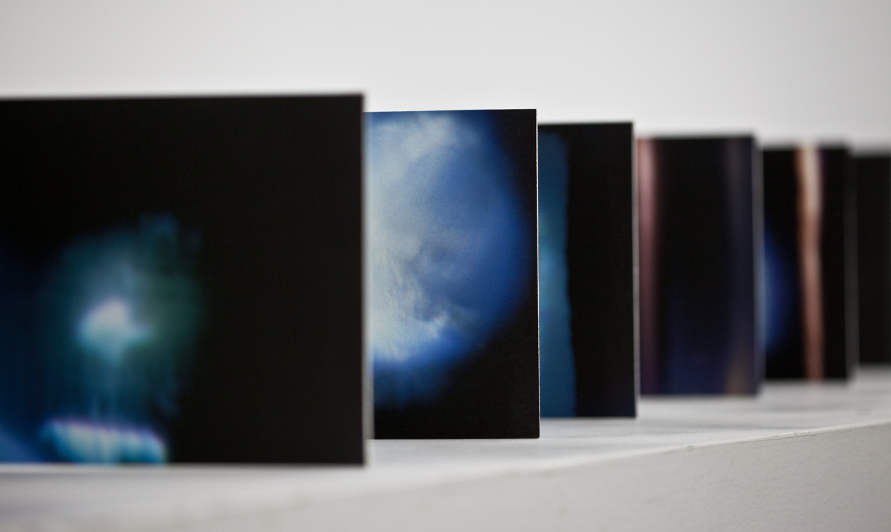 The Blue Book - Dara Rosenwasser