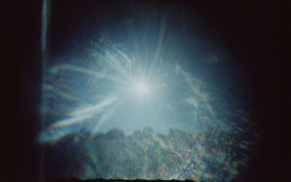 The Blue Book - Dara Rosenwasser