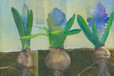 Three Bulbs - Caroline Bowden