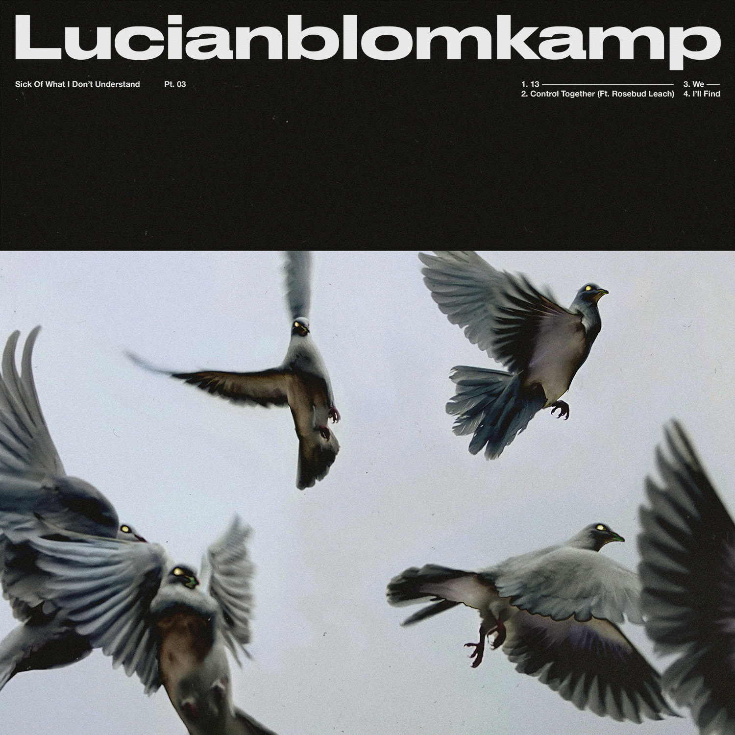 Lucianblomkamp - SOWIDU PT.1 - Darren Oorloff