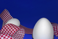 welcome to wyne veen