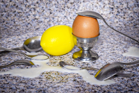 welcome to wyne veen