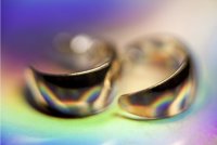 welcome to wyne veen