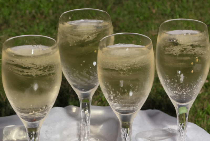 welcome to wyne veen