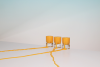 welcome to wyne veen