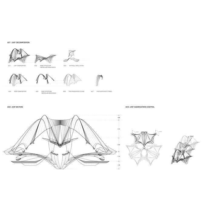 butterfly - CHIKARA INAMURA