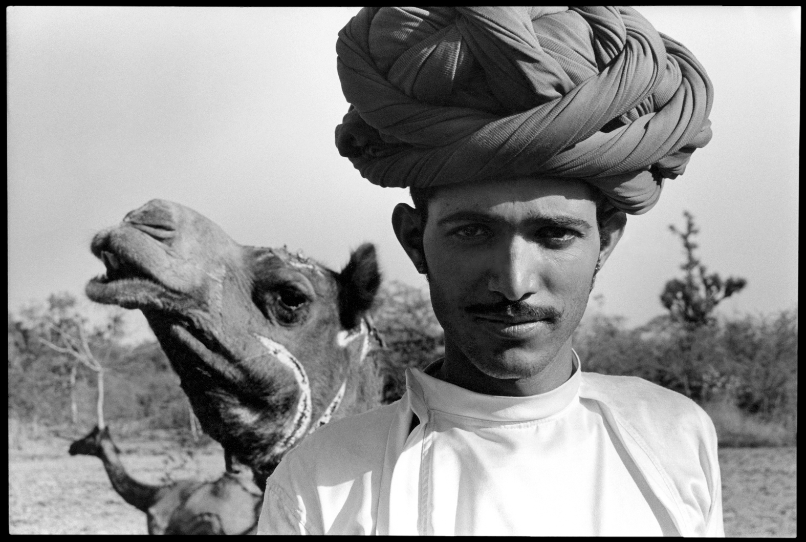 Raikas - Tes Ibáñez