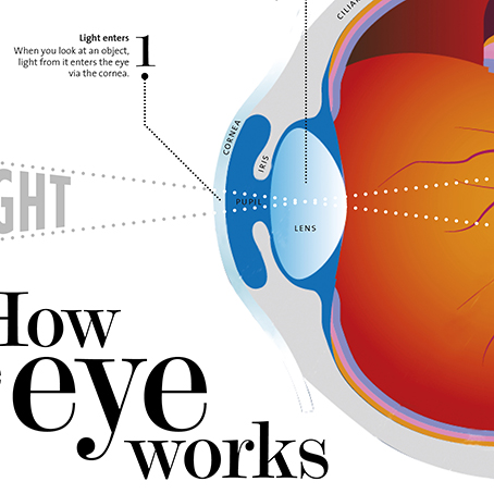 How the Eye Works - Tom Howey | Book design and typography