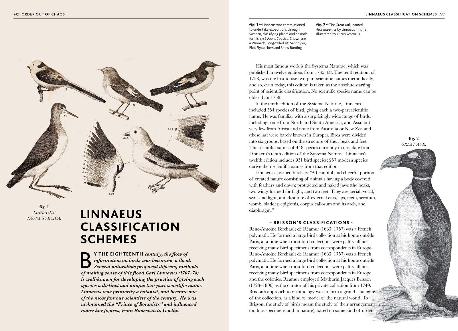 Discovering Birds - Tom Howey | Book design and typography