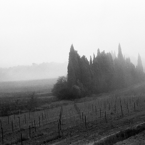 Jeremie Dru - Architecture et photographie