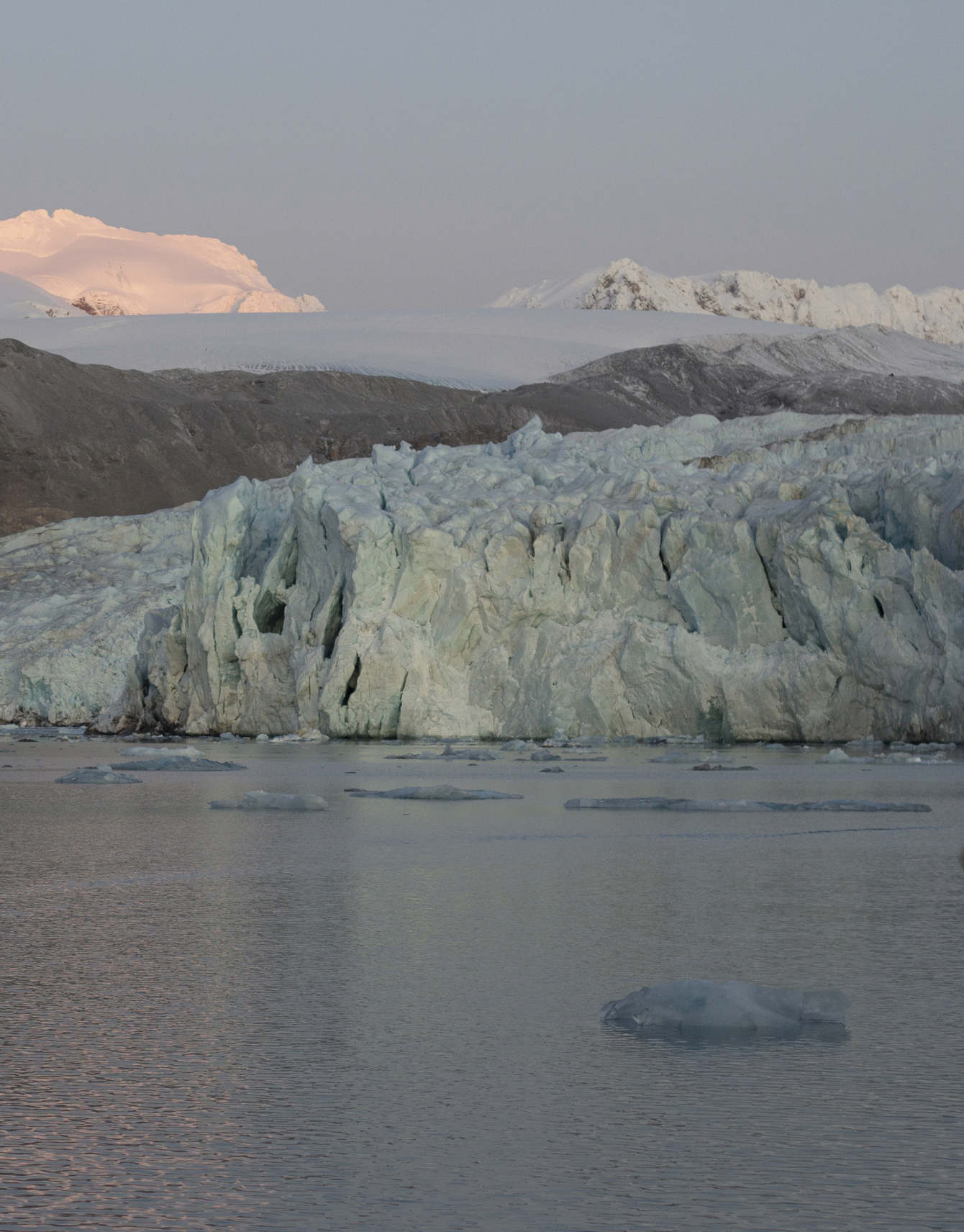 love and loss in the arctic - ellie schmidt, archive