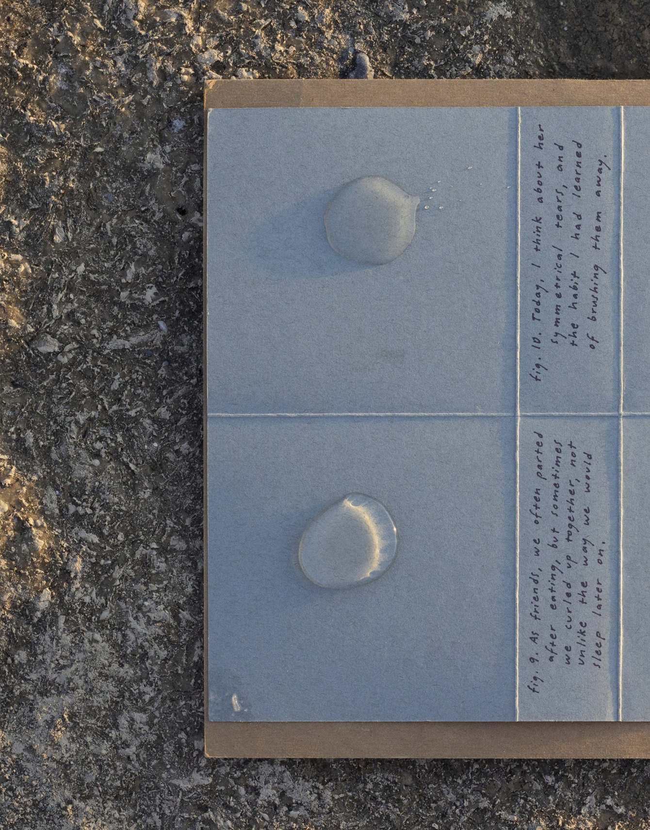 love and loss in the arctic - ellie schmidt, archive