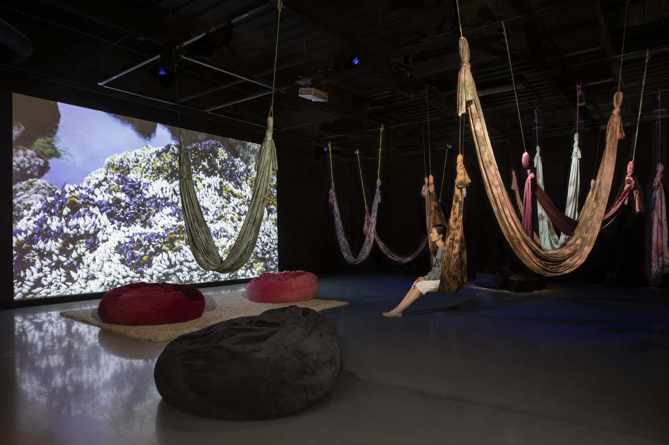 the tide pool room: a love story - ellie schmidt, archive