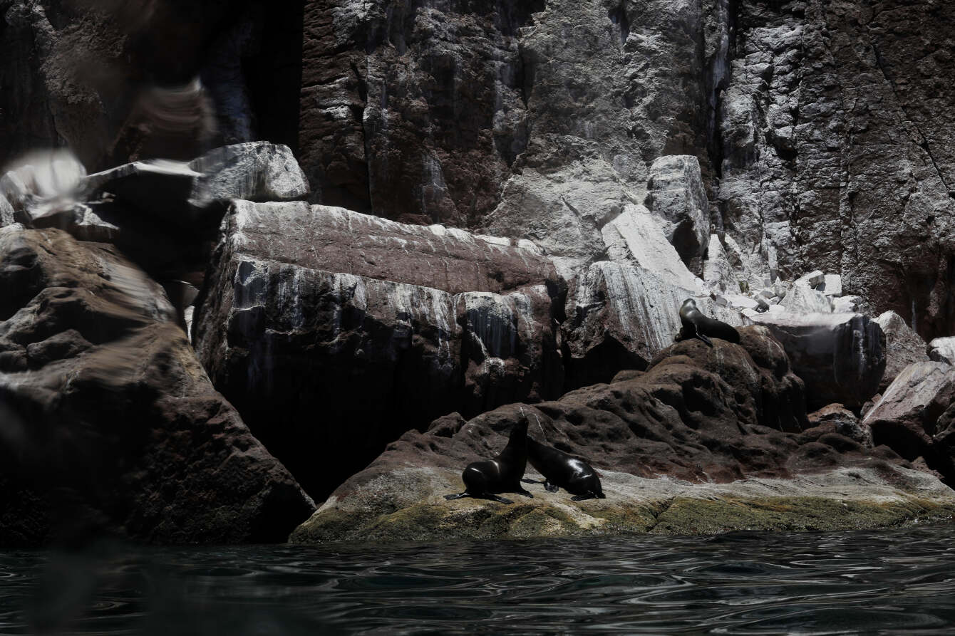 espiritu santo - ellie schmidt, archive